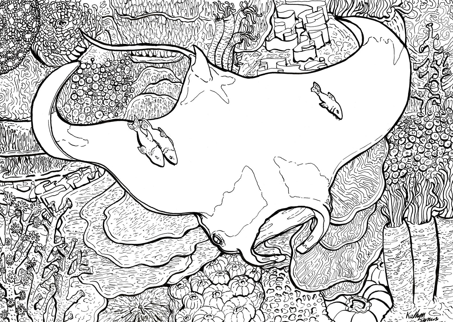 Manta Ray on Coral Colouring Page Relaxing Adult Colouring | Etsy