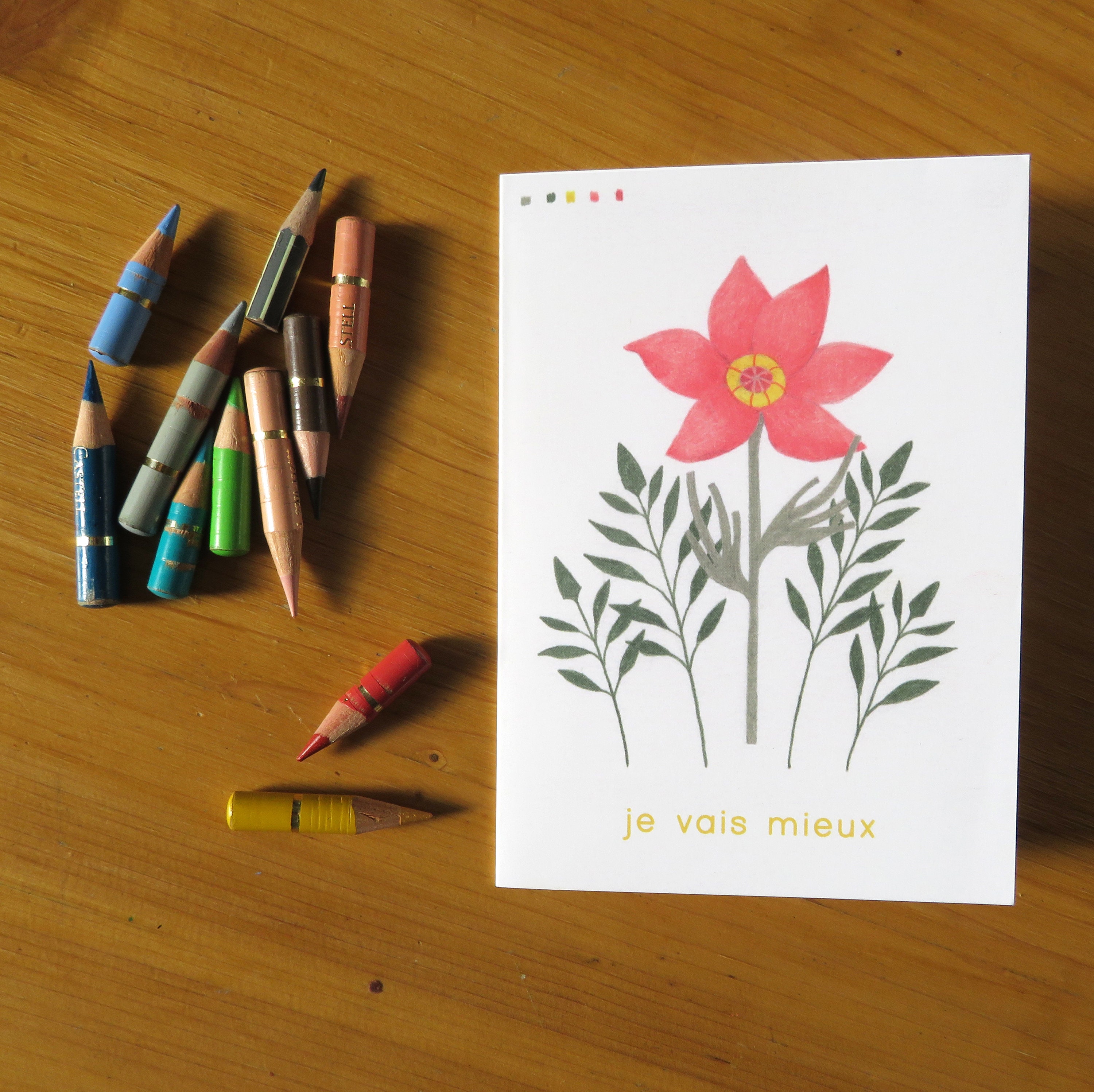 Illustration flowers Postcard A6 Pencil Colored Pencil etna.com.pe