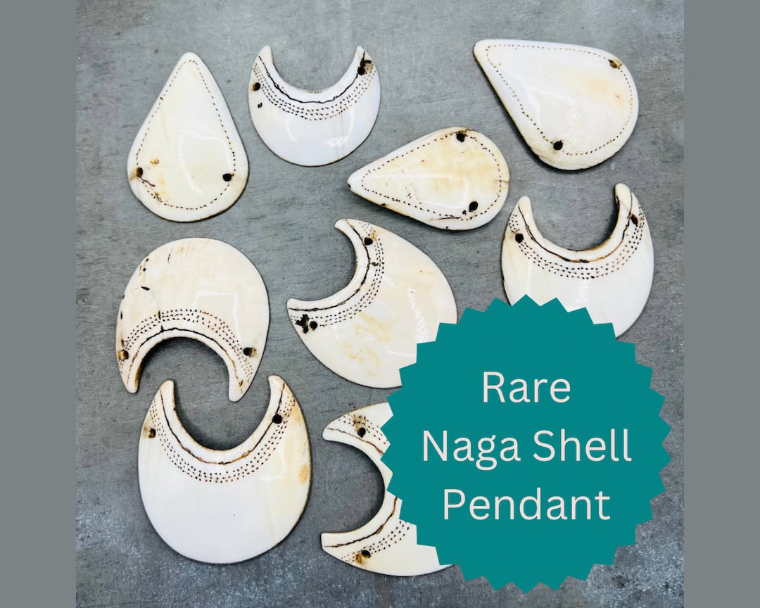 Naga Shell Pendant, Naga Tribe Shank Shell, Conch Shell, Seashell ...