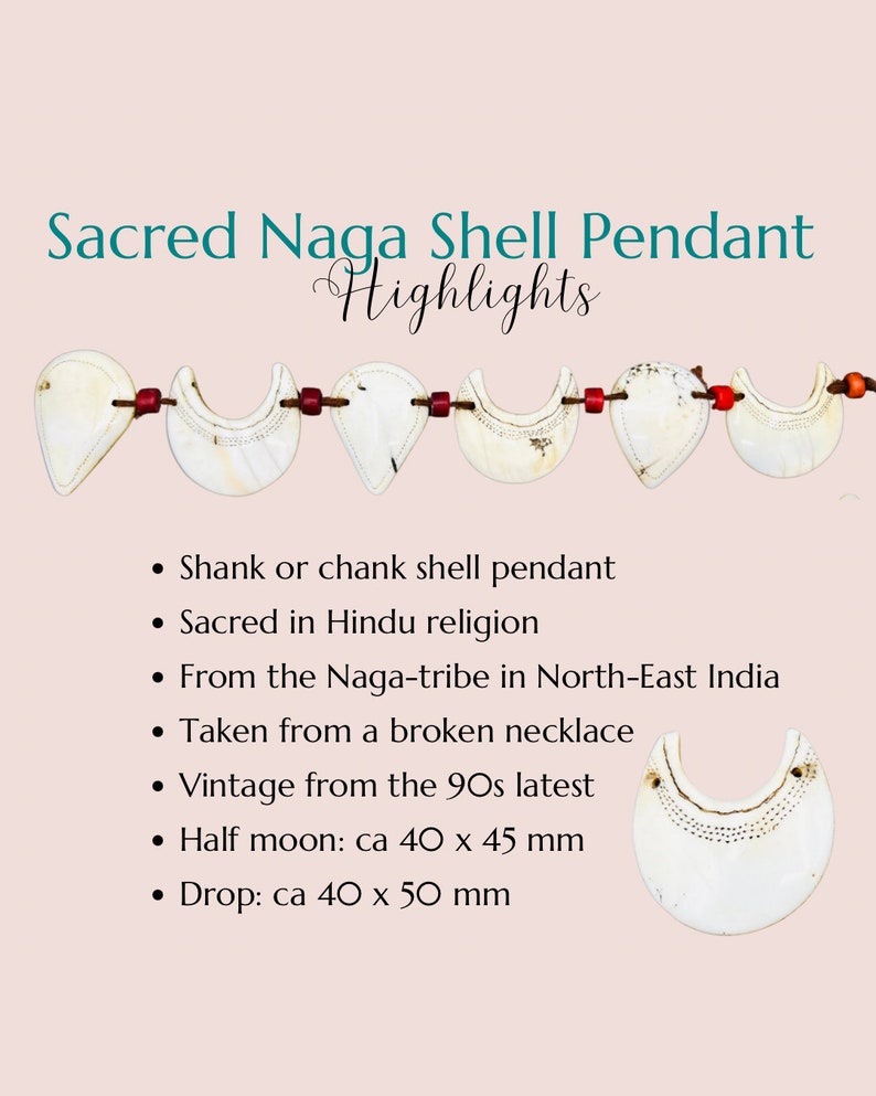 Naga Shell Pendant, Naga Tribe Shank Shell, Conch Shell, Seashell ...