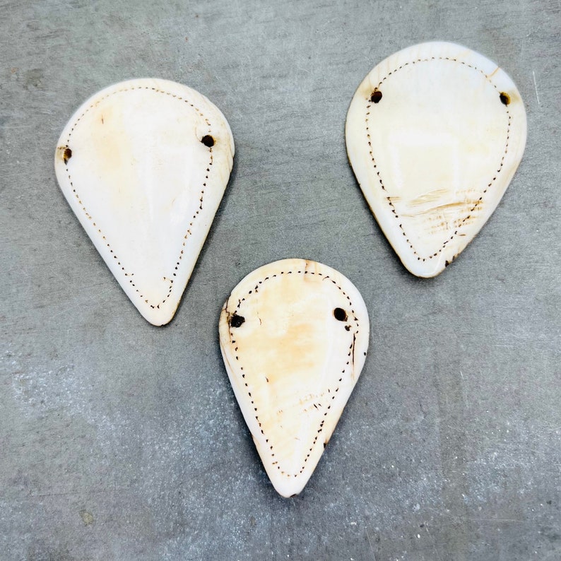 Naga Shell Pendant, Naga Tribe Shank Shell, Conch Shell, Seashell ...