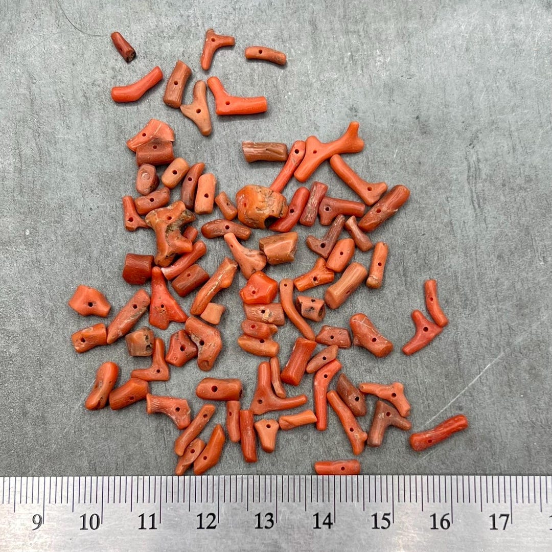 10 Grams of Antique Coral Branches, Small Mediterranean Coral Sticks ...