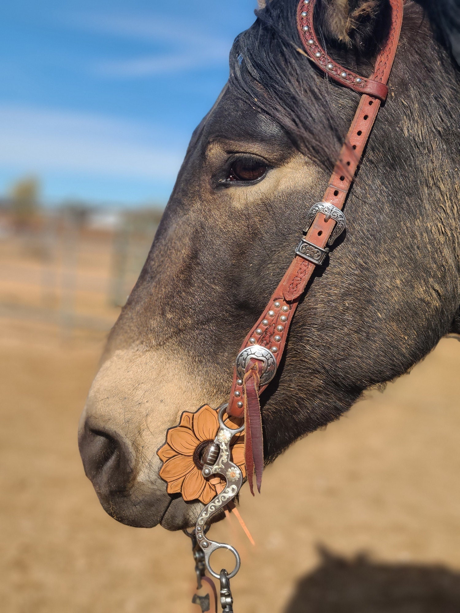 Sunflower Tooled Bit Guards - Etsy