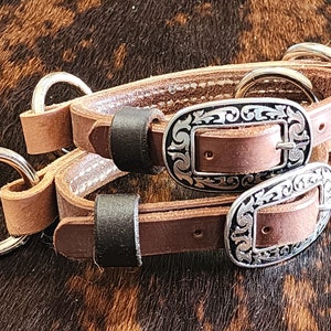 Bridleless Leather Bit - Etsy