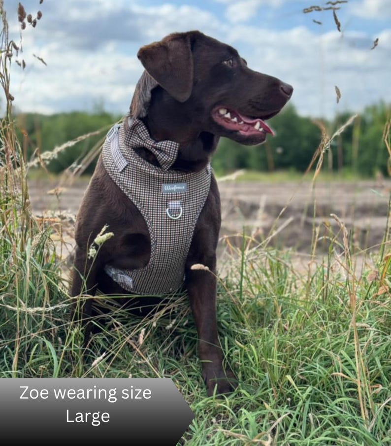 Plaid Dog Harness Bundle of Your Choice, Classic Dog Harness and Leash ...