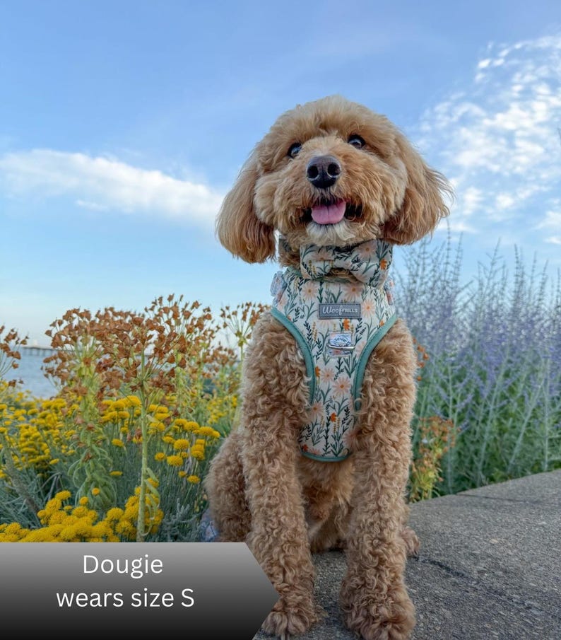 Daisy Dog Harness Bundle of Your Choice, Floral Dog Harness and Leash ...