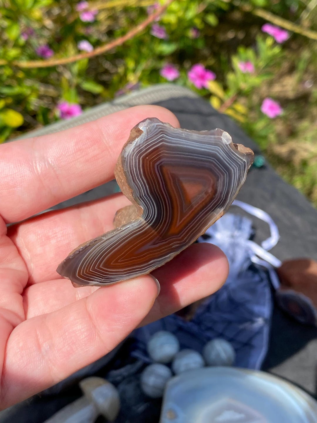 Small Sashe River Agate Nodule With Parallax Inclusions! AA Grade - Etsy