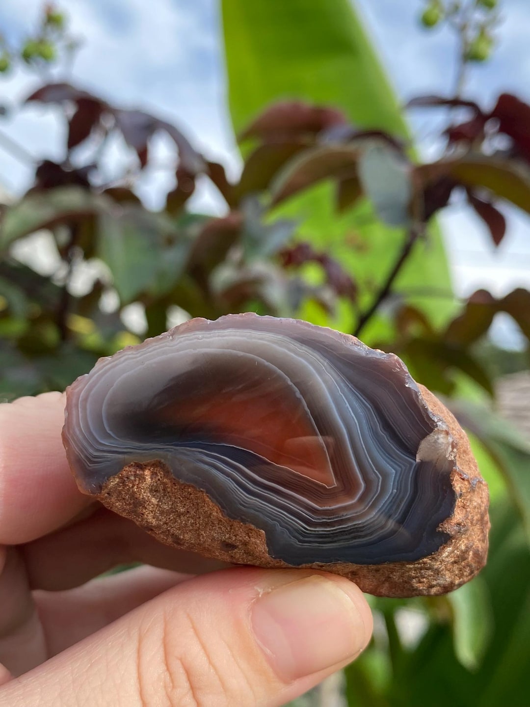 Small Sashe River Agate Nodule With Deep Colors and Intense Banding ...