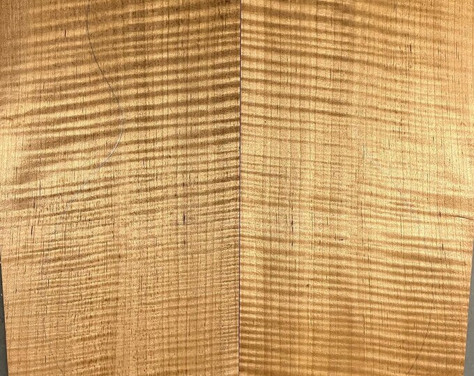 Guitar Carve Top Set, Curly Maple, Flame Maple, Roasted Torrified Wood ...