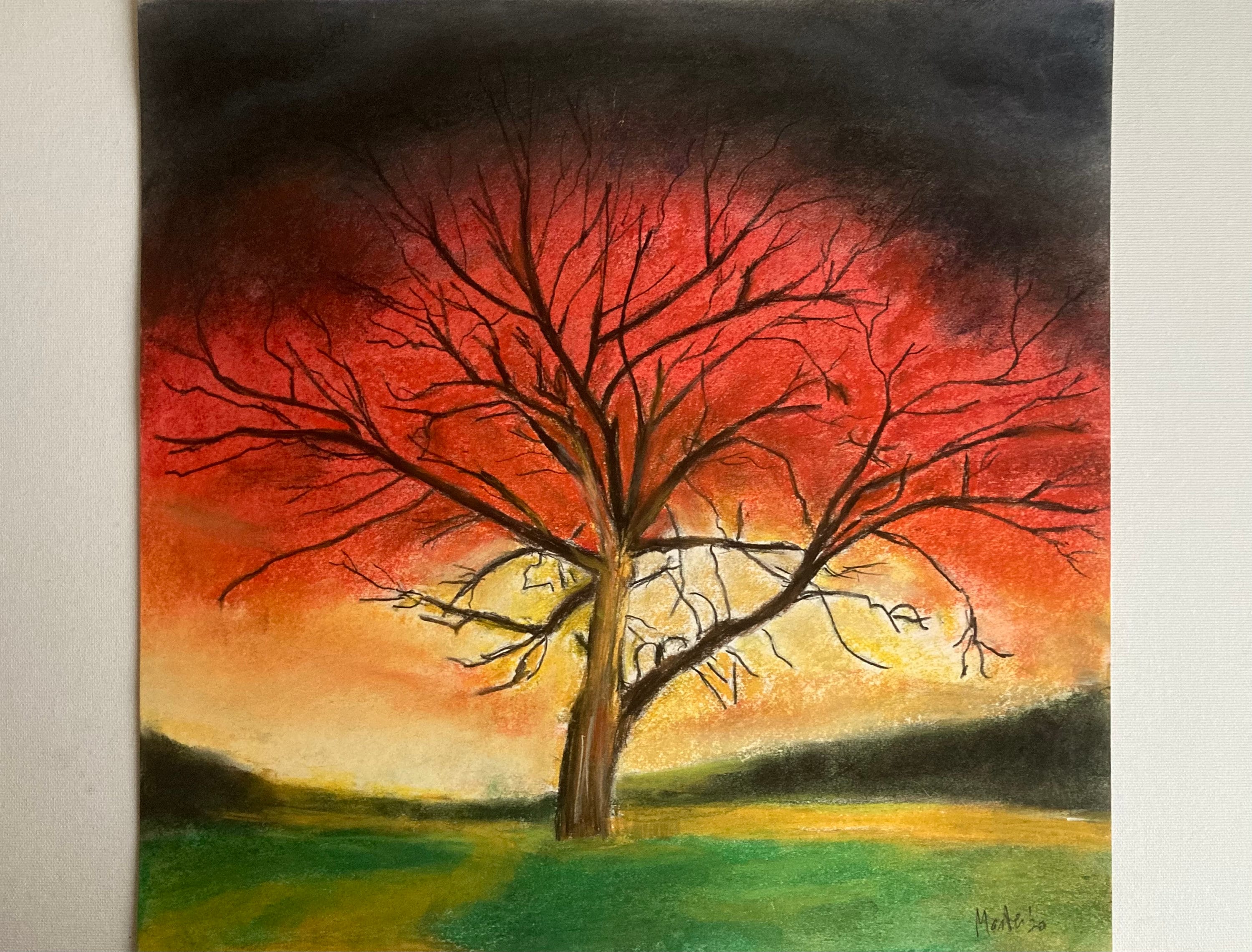 Landschap met grote kale boom en mooie kleurrijke lucht. - Etsy Nederland