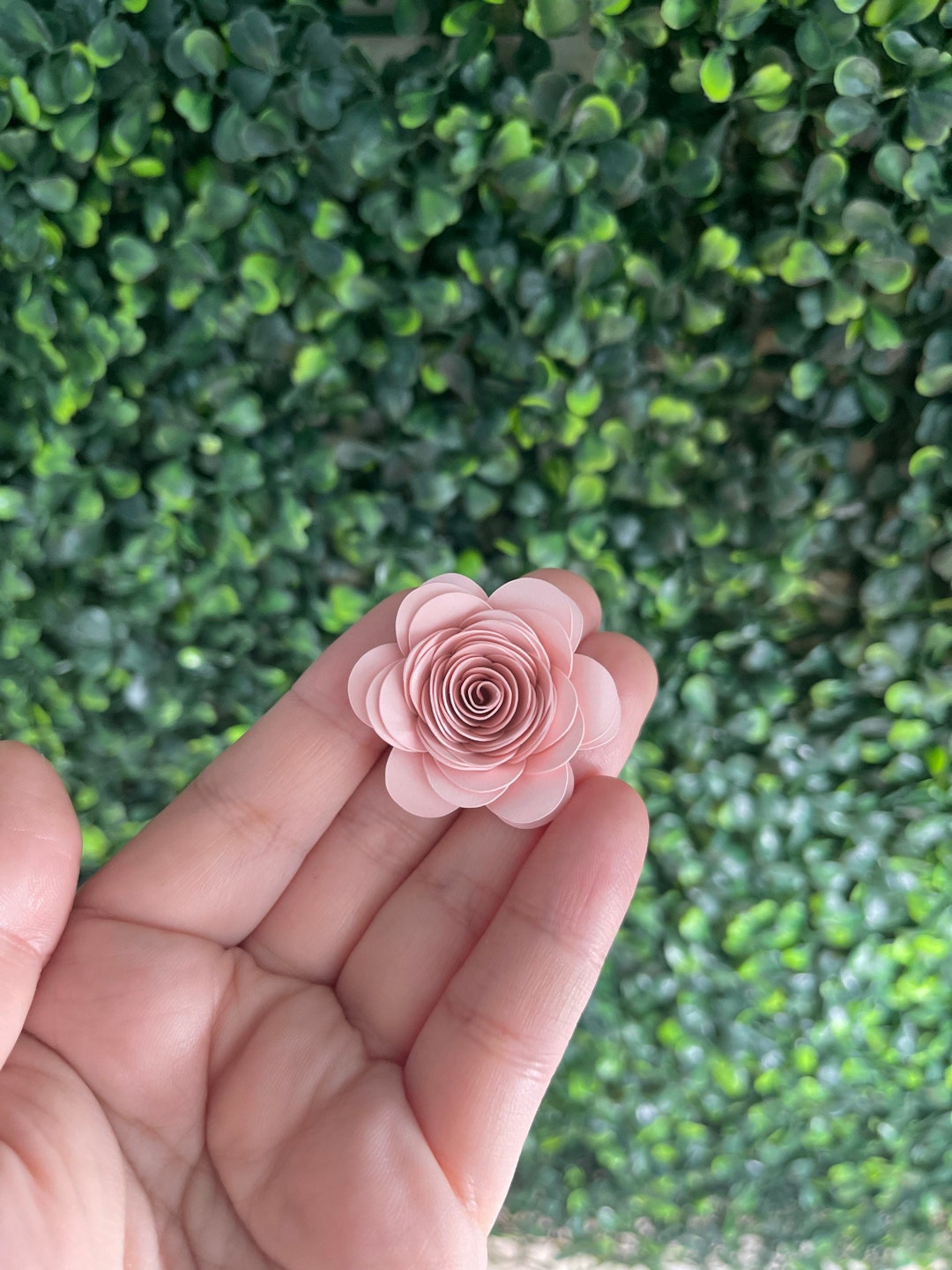 Small Paper Roses Sets for Graduation Cap or Shadowbox - Etsy