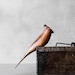 Cardinal Perchin Wooden Bird - Etsy