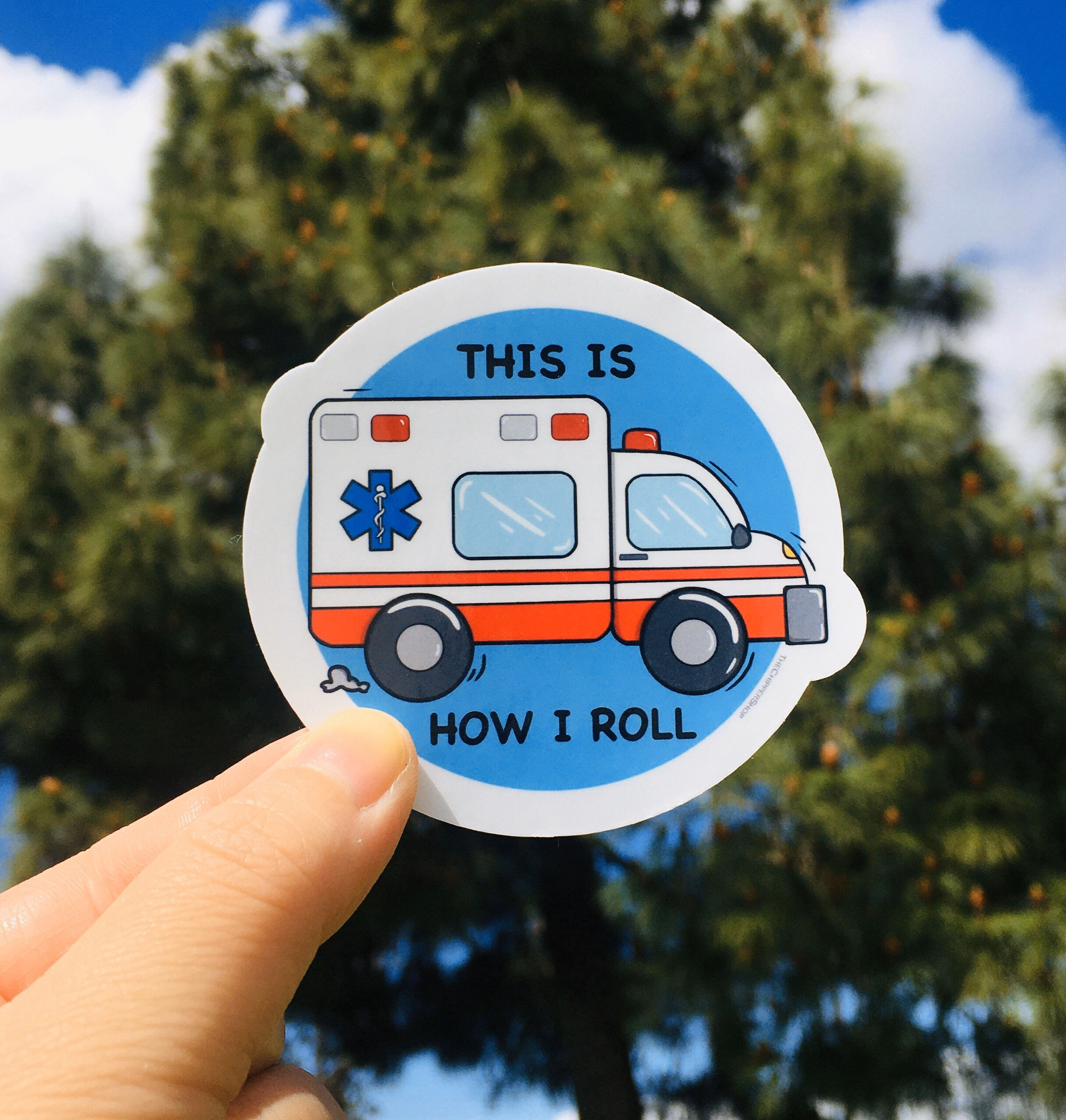 Ambulance Vinyl Sticker Paramedic Gift EMT Gift First - Etsy