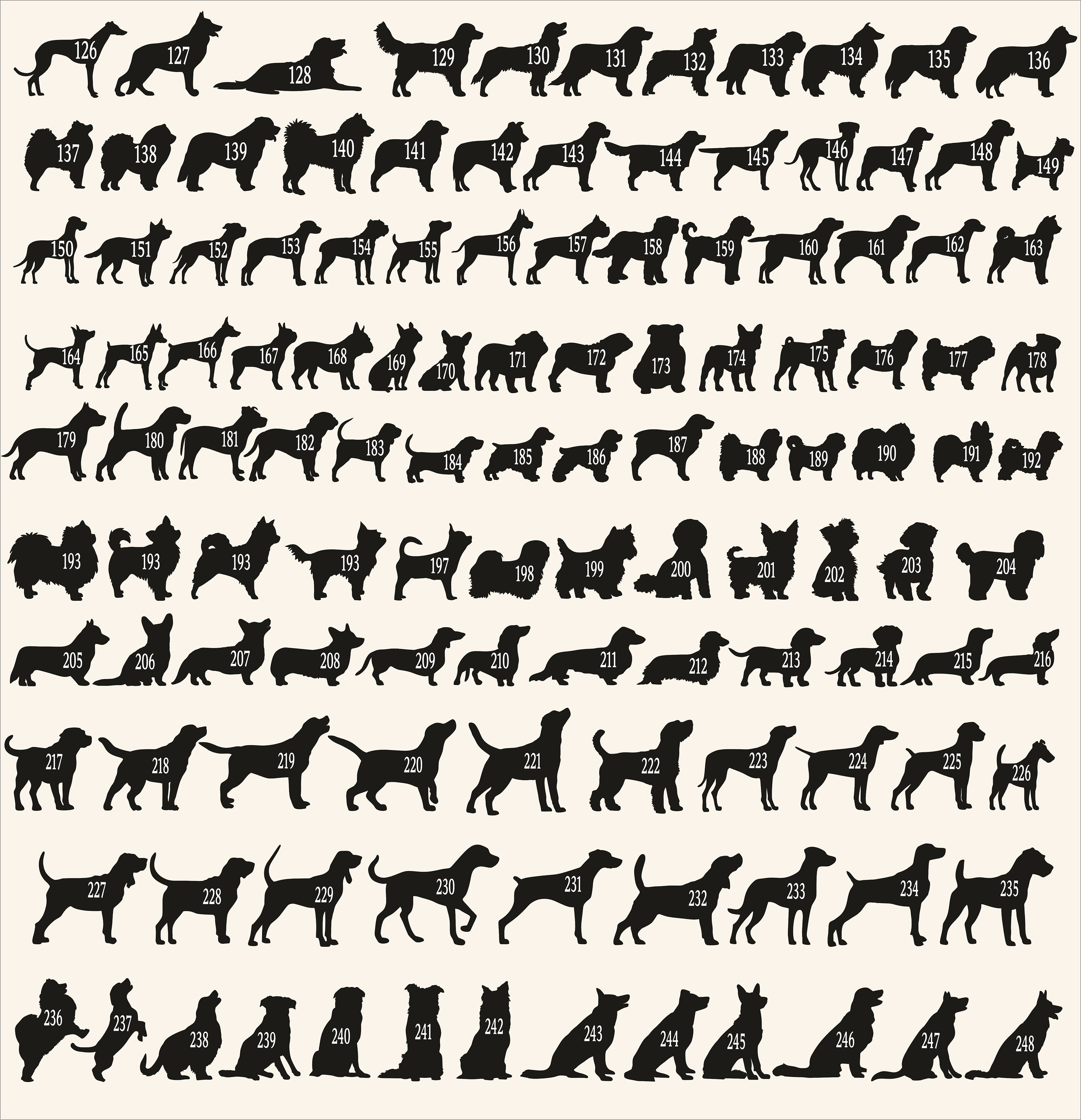 Eagle Birthday Cake Topper, Eagle Cupcake Toppers, Hawk Cake Topper ...