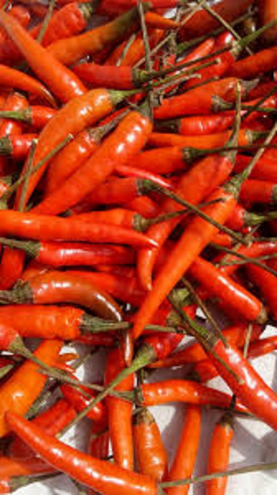 African Bird Pepper Powder | Etsy