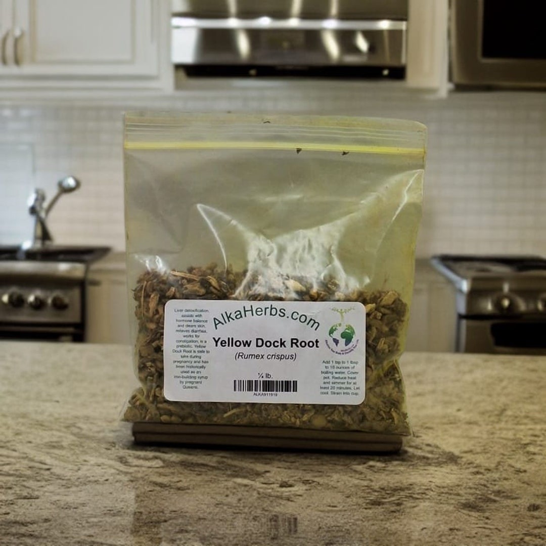 Yellow Dock Root (rumex Crispus) - Etsy