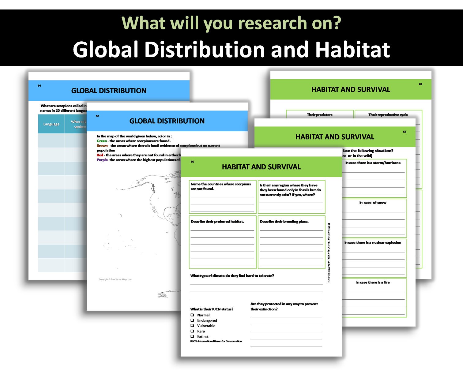 Scorpion Unit Study Learn All About Scorpions Homeschool - Etsy España