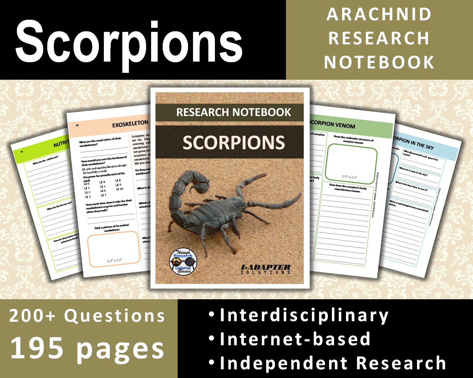 Scorpion Unit Study Learn All About Scorpions Homeschool - Etsy España