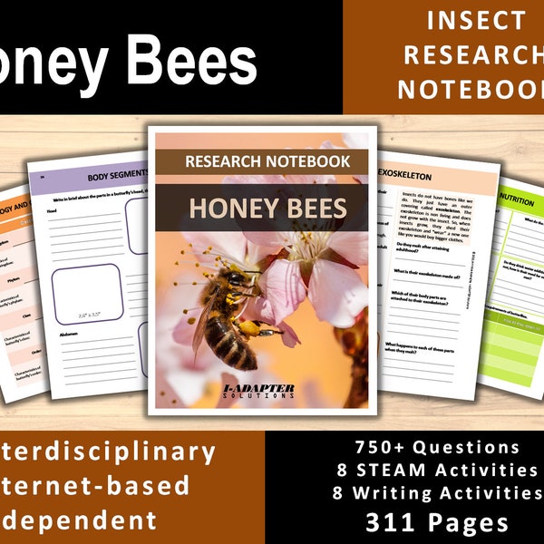 Honey Bee Unit - Etsy