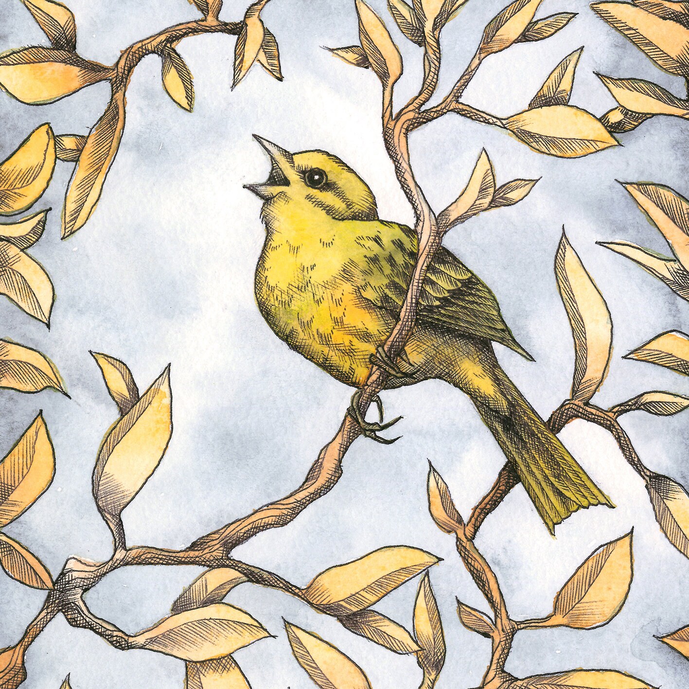 Charming and Colourful Bird Illustration Art Card Showing a Yellow ...