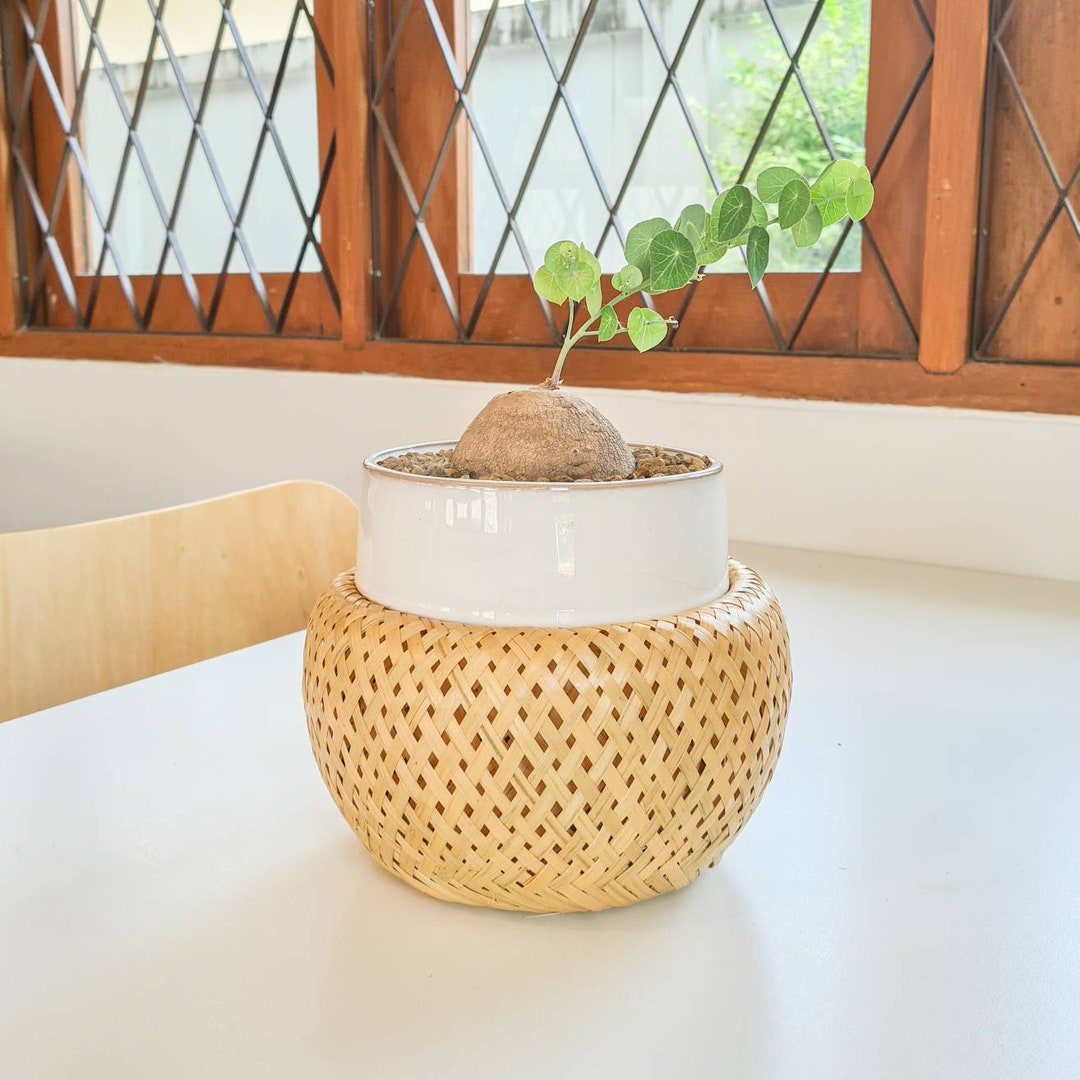 Woven Baskets, Versatile Bamboo Baskets, Woven Plant Pot, Bamboo Indoor ...
