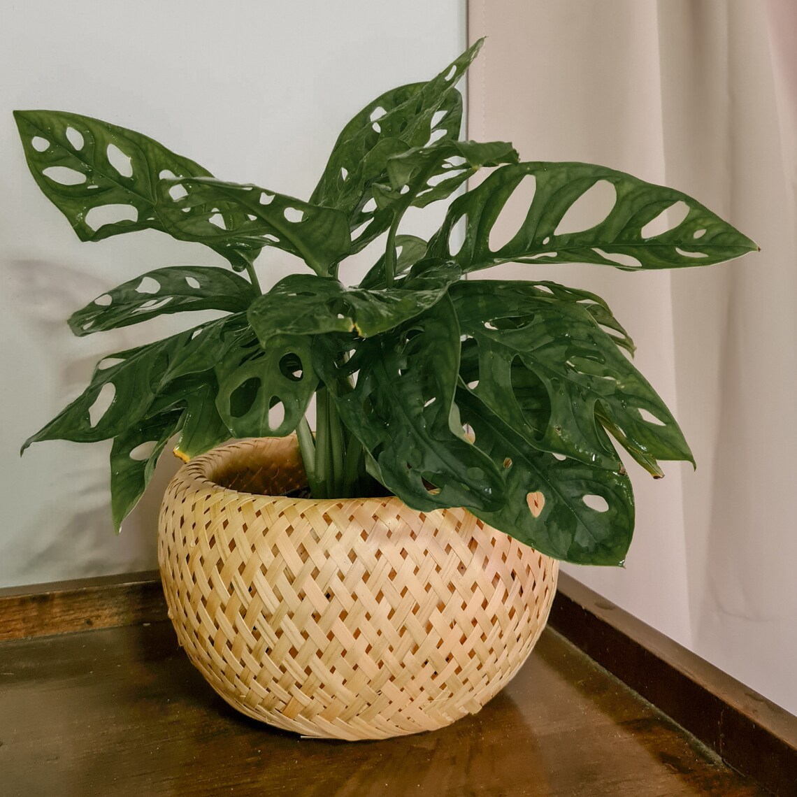 Woven Baskets Versatile Bamboo Baskets Woven Plant Pot | Etsy