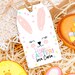 Editable Easter Treat Printable Tags, Printable Easter Gift Tags ...