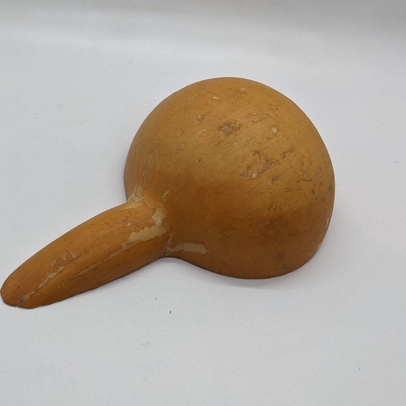 Calabash Gourd - Etsy