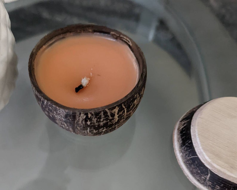 Unique Handmade Coconut Shell Container With Lid - Etsy