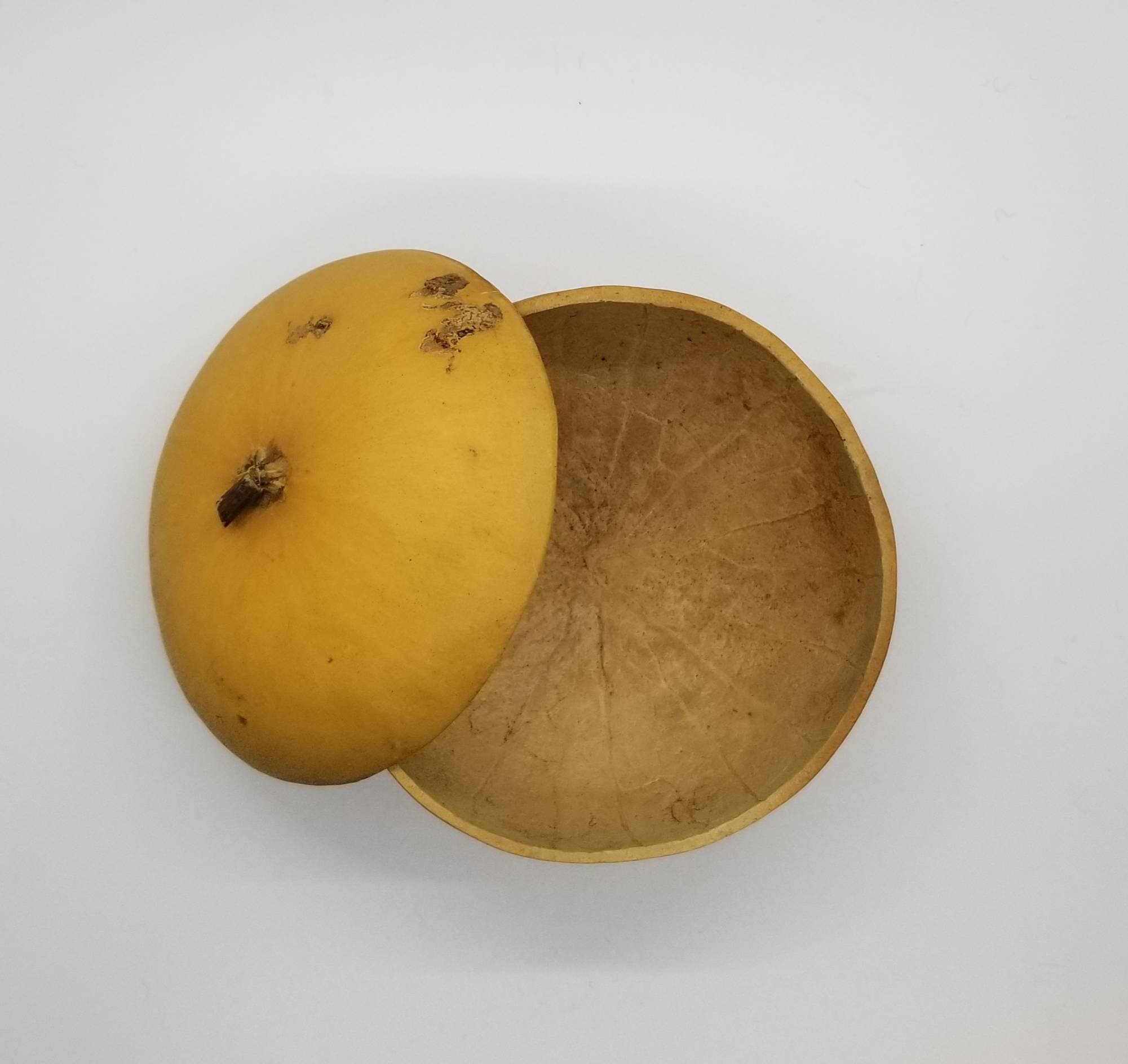 100% Authentic Ghanaian Calabash Bowl/cup - Etsy