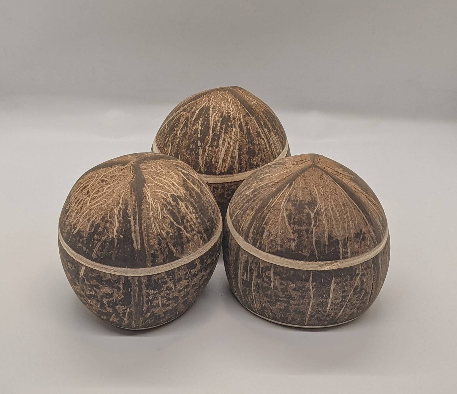 Unique Handmade Coconut Shell Container With Lid - Etsy