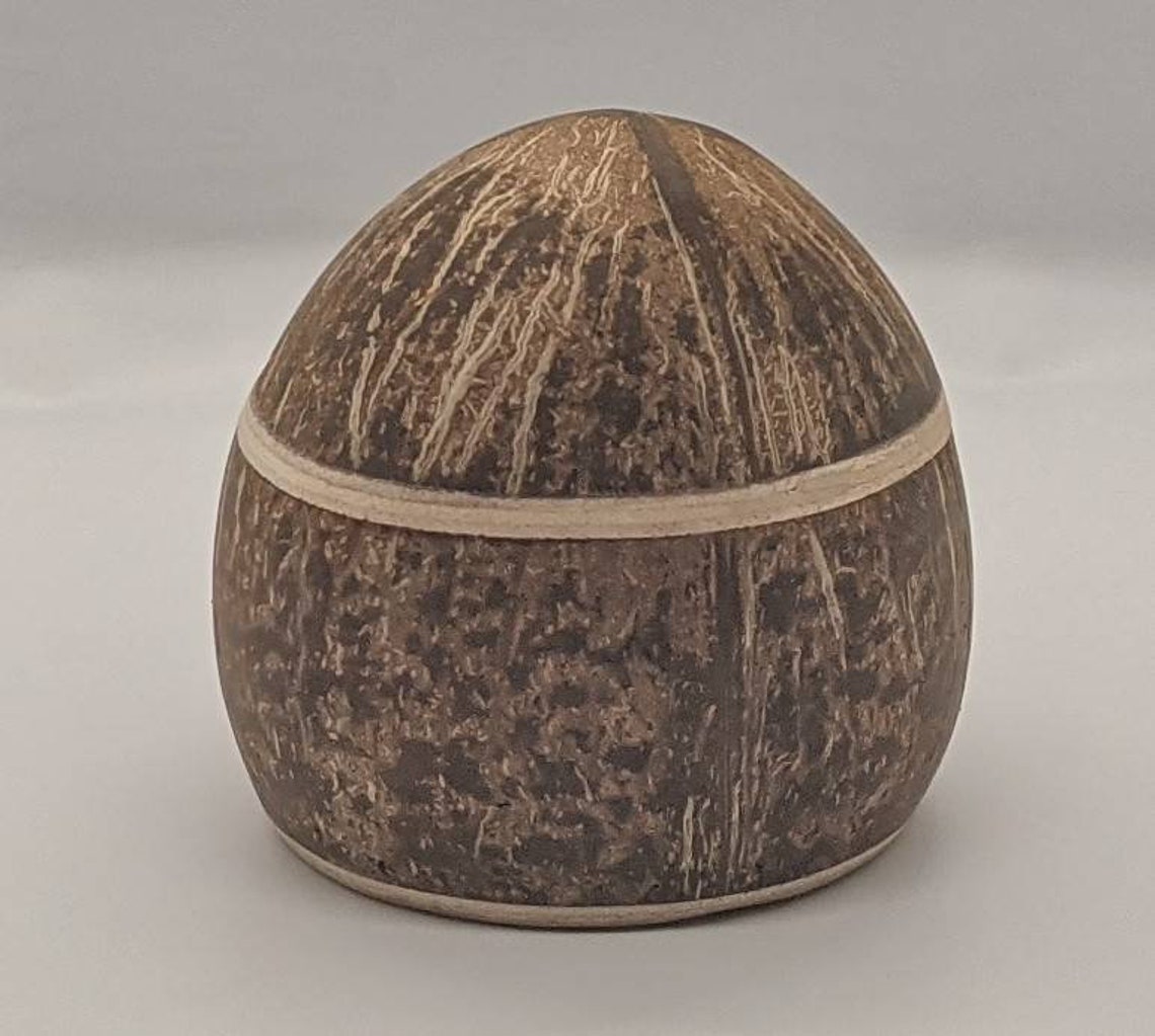 Unique Handmade Coconut Shell Container With Lid - Etsy