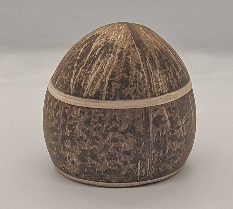 Unique Handmade Coconut Shell Container With Lid - Etsy