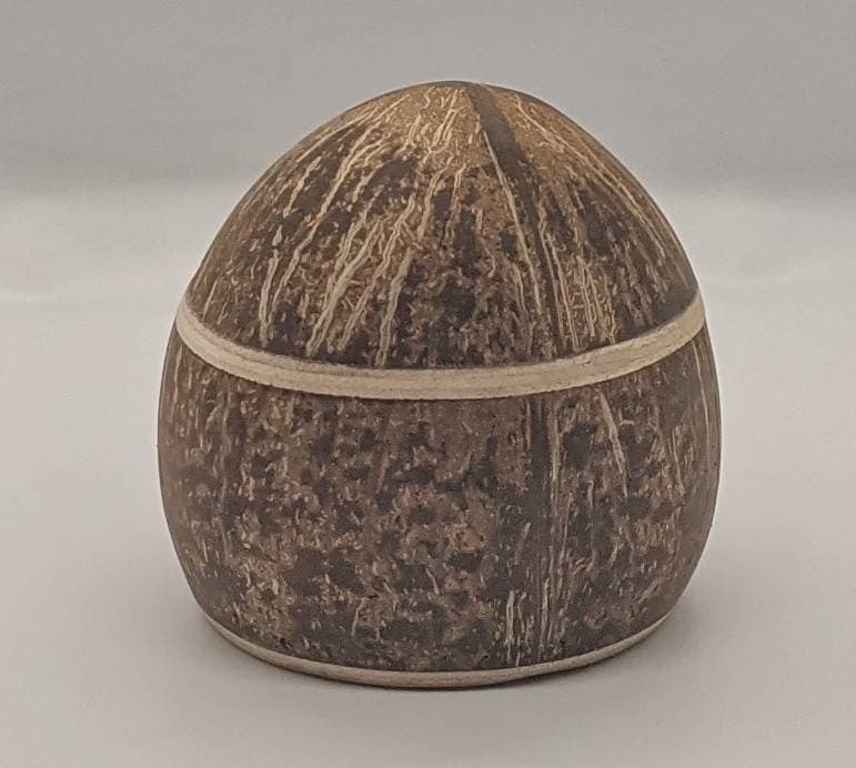 Unique Handmade Coconut Shell Container With Lid - Etsy