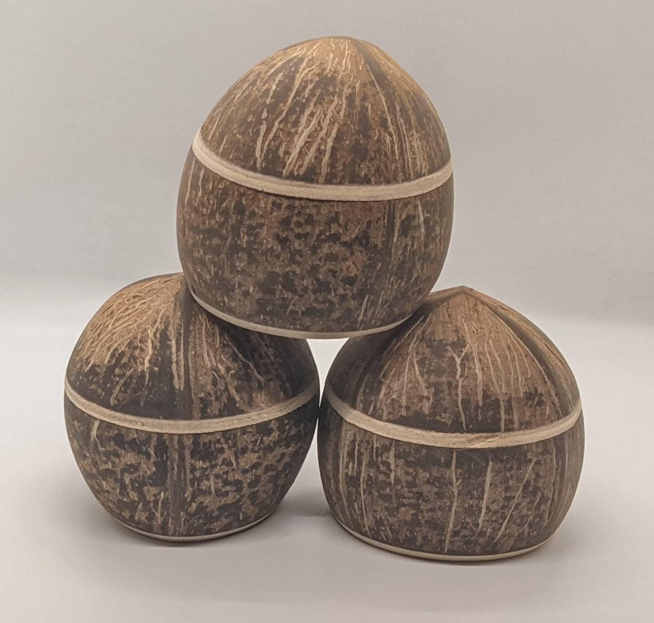 Unique Handmade Coconut Shell Container With Lid | Etsy