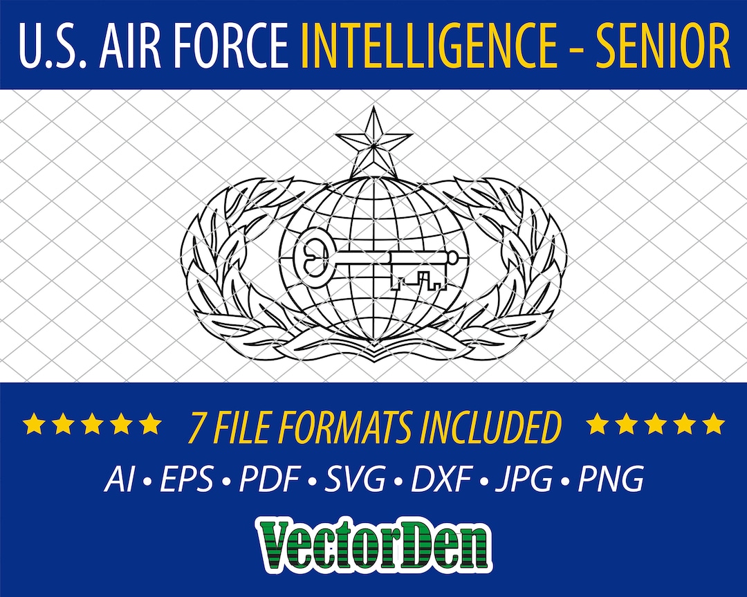 U.S. Air Force Intelligence Badge - Senior - Vector Insignia - Etsy