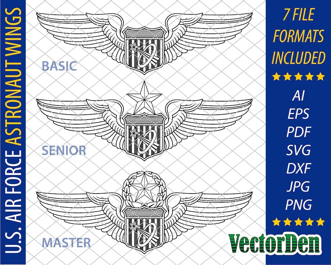 U.S. Air Force Astronaut Wings - Set - Badge Insignia - Etsy