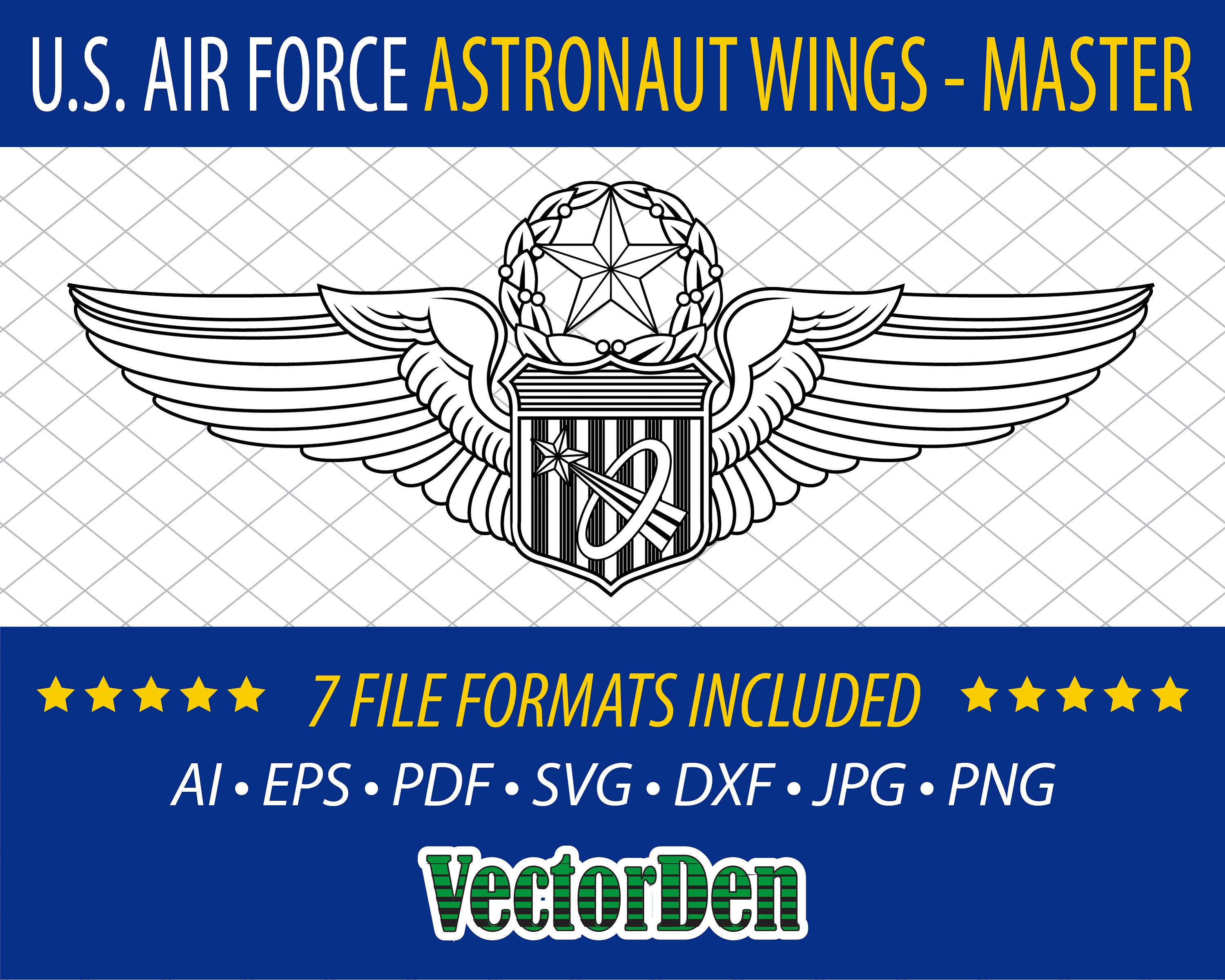 Astronaut Wings Insignia