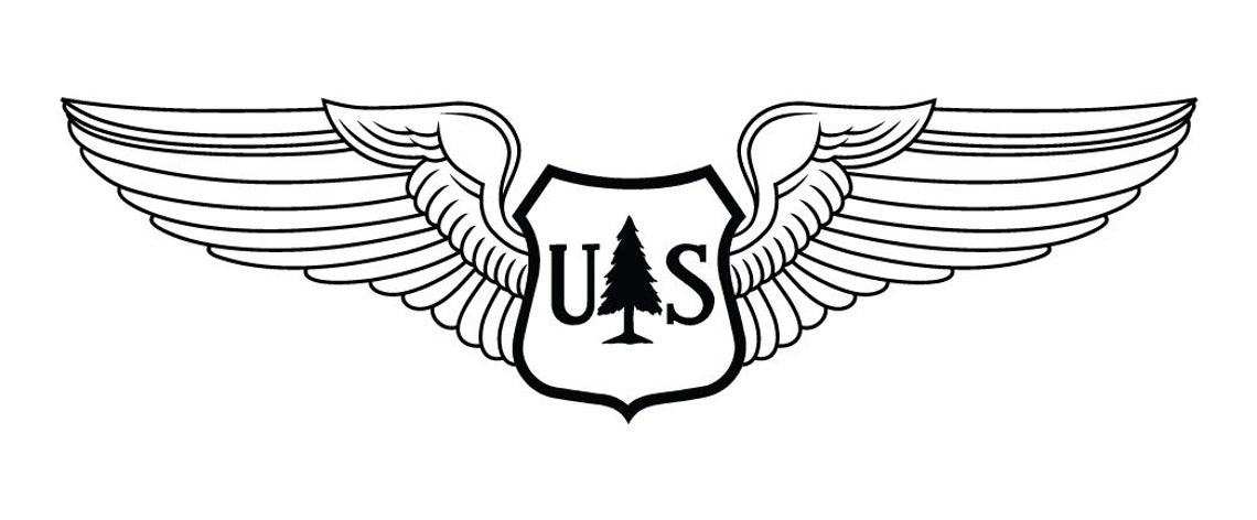 US Forest Service Wings - Etsy