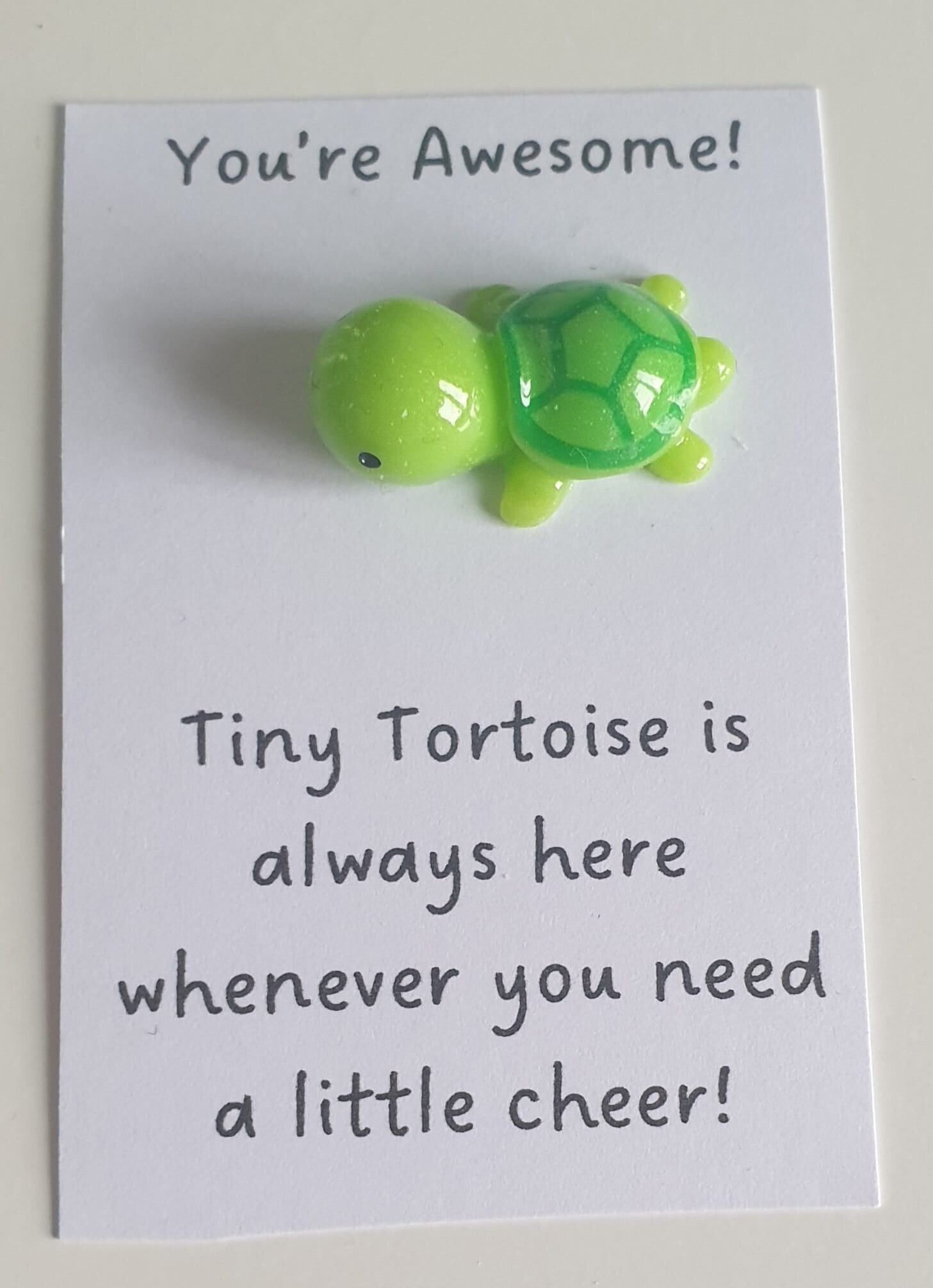 Your'e Awesome Cute Small Tortoise Token Gift - Etsy