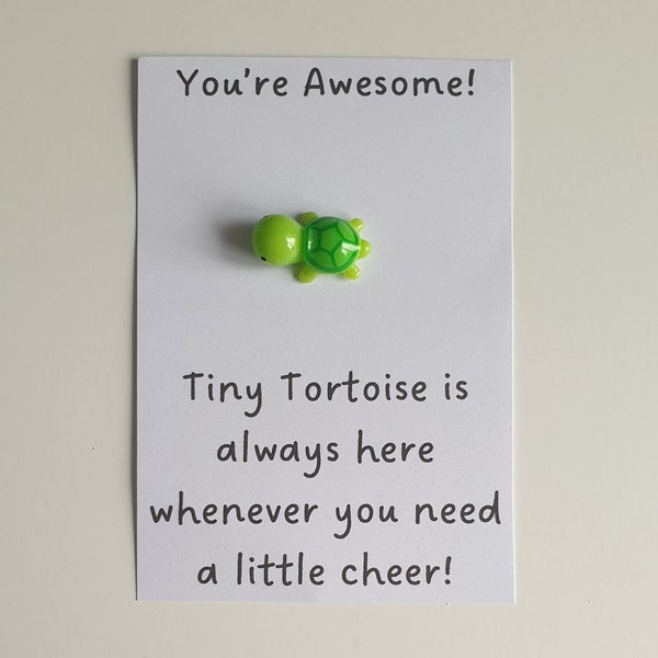 Tortoise Gifts - 60+ Gift Ideas for 2024