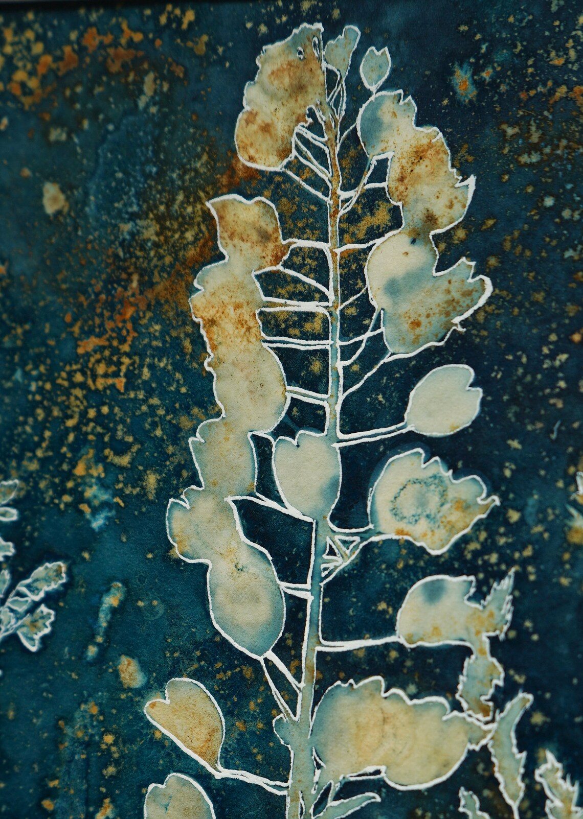 Original Cyanotype and Ink Spring Mix Signed and Matted With Backing ...