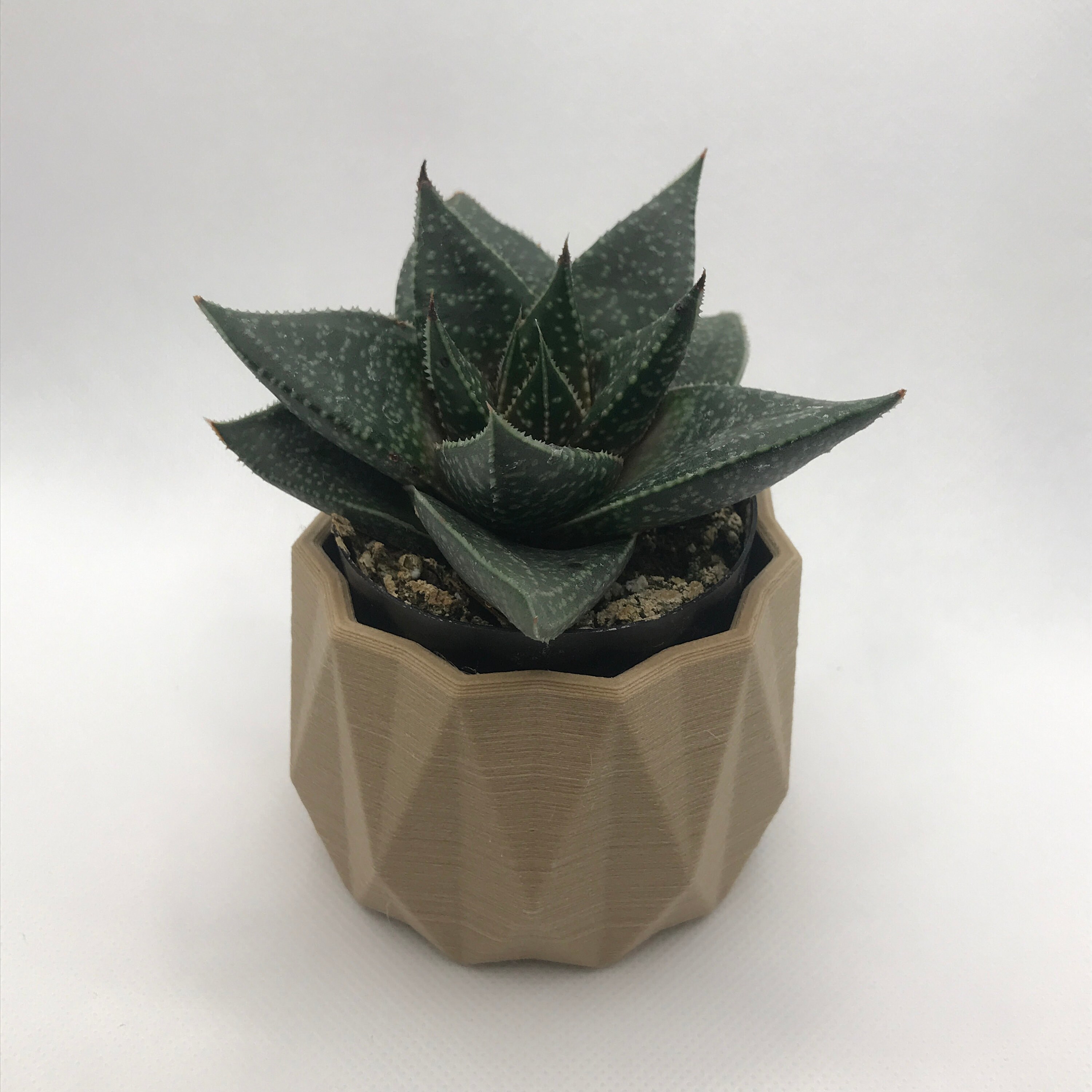 3D Printing Planter STL Files House Plant Succulent Cacti - Etsy