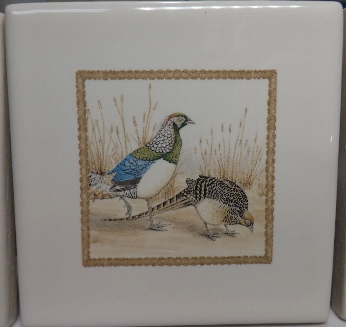 New Old Stock Kohler Artist Edition Pheasant Tile - Box of 6 Field 4”x4 ...