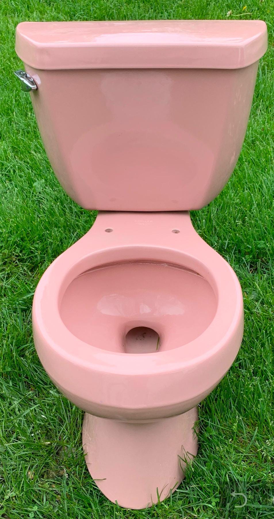 New Kohler Wild Rose (pink) Complete Toilet (tank/bowl/seat) Wellworth ...