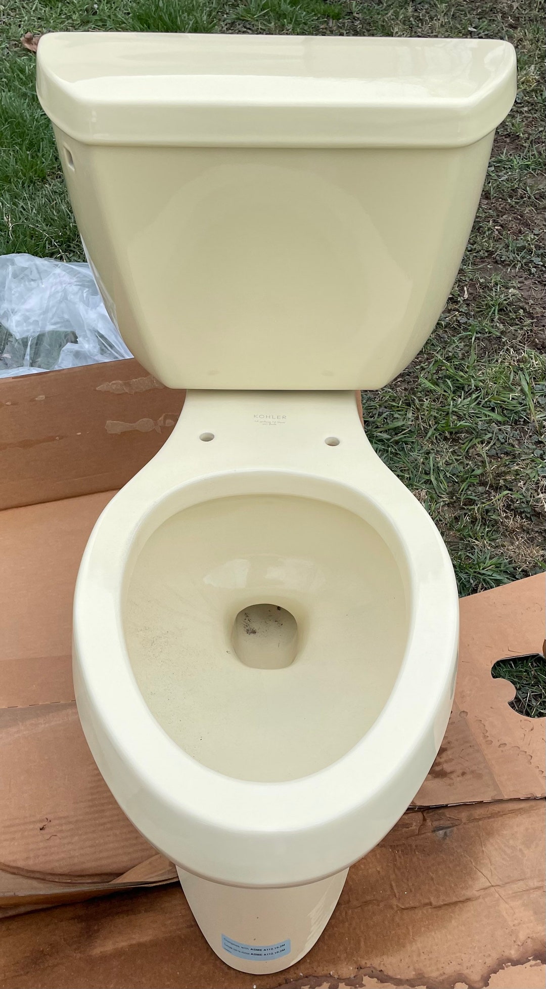 Kohler K-3422-Y2 Wellworth Sunlight Yellow 2-pc Toilet Tank and Bowl ...
