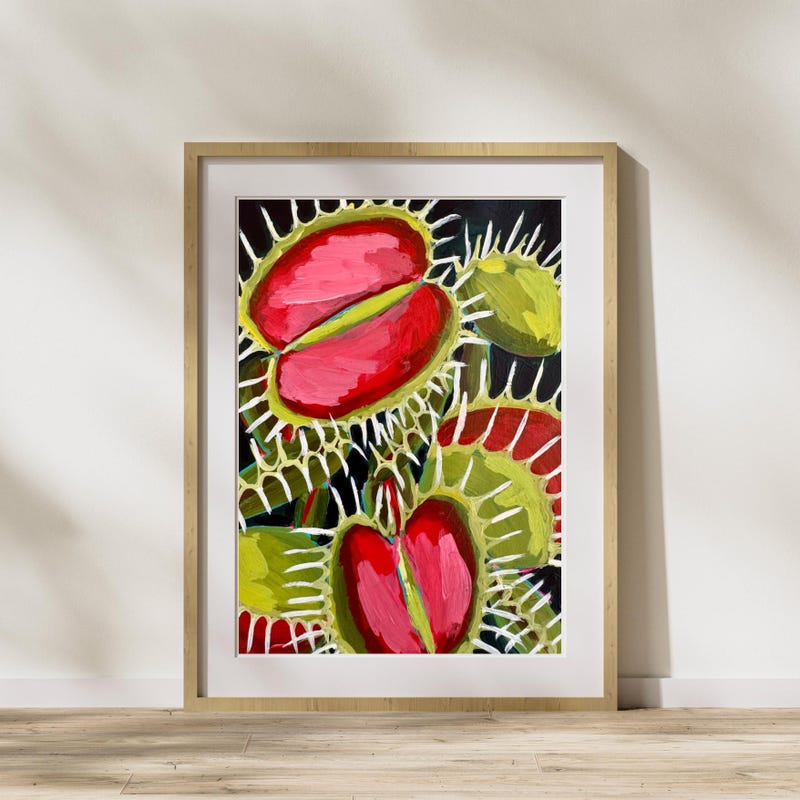 Venus Flytrap Etsy