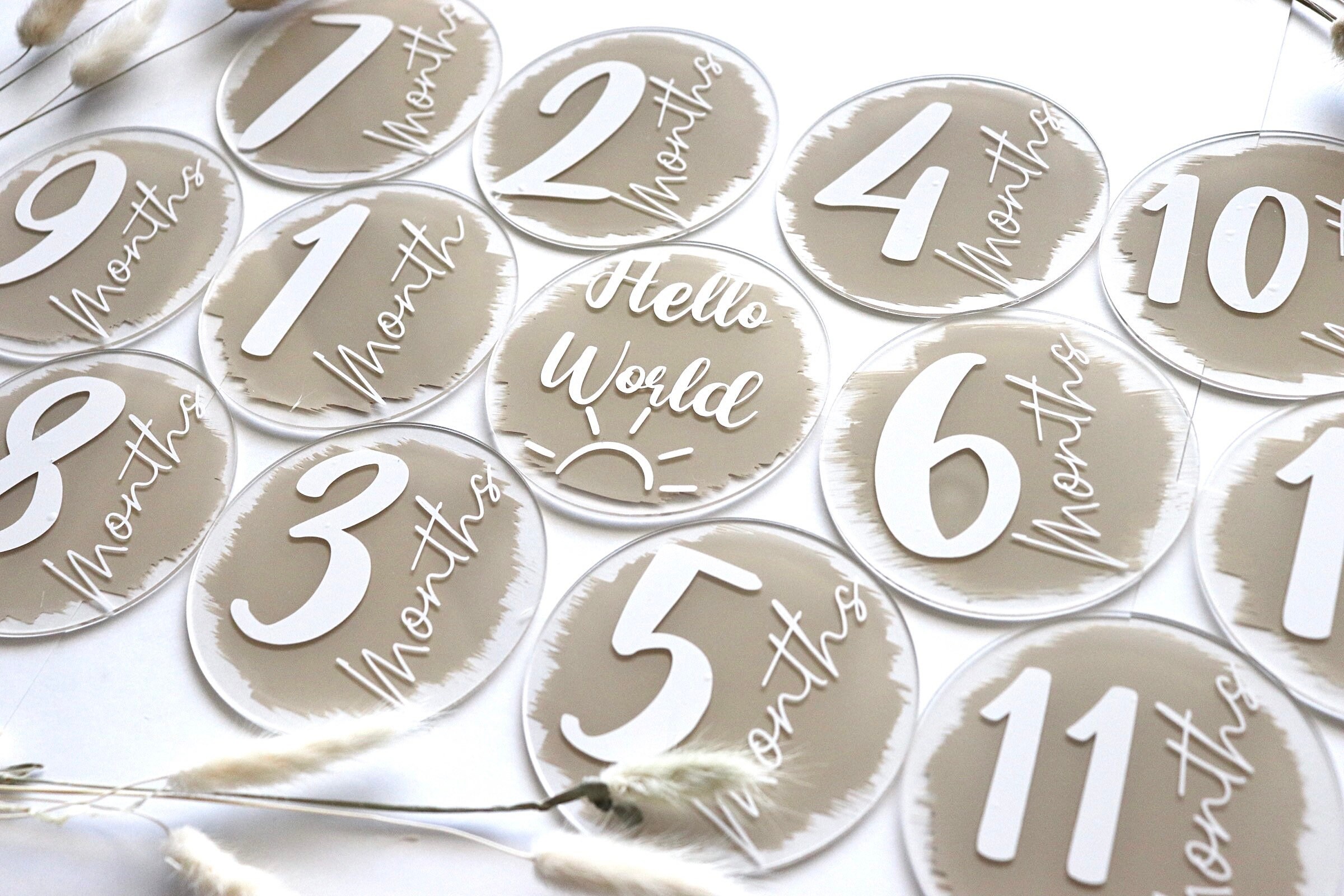Acrylic Baby Monthly Milestone Rounds, 12 Month Set Baby Announcement ...