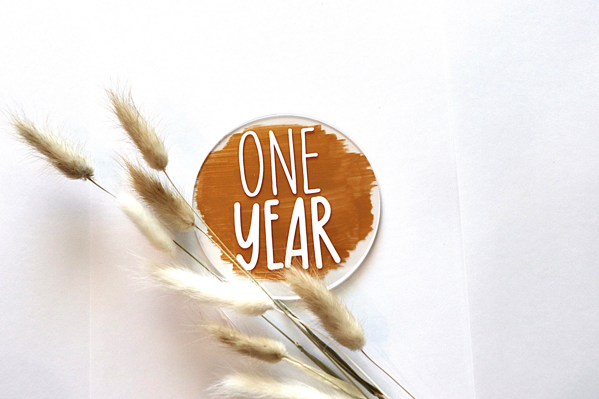 Milestone Disc, Acrylic Milestones, Baby Name Sign, Baby Months ...