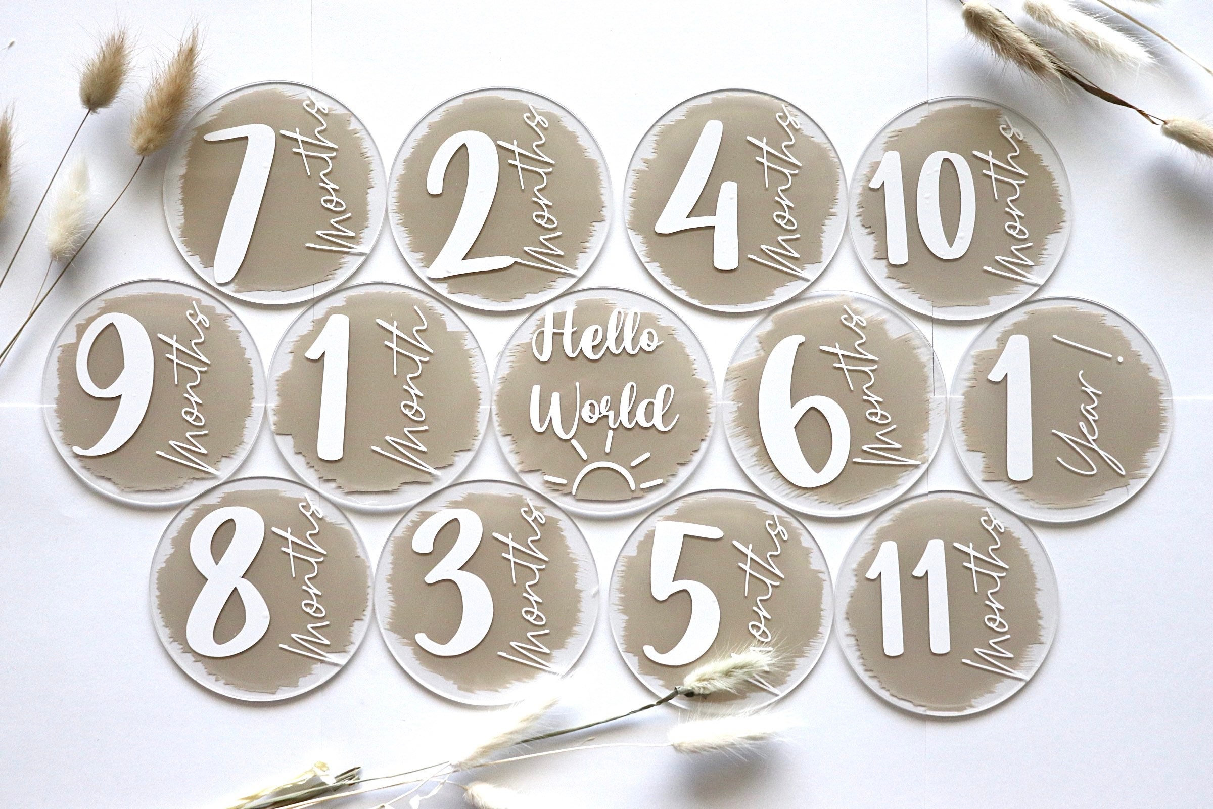 Acrylic Baby Monthly Milestone Rounds, 12 Month Set Baby Announcement ...